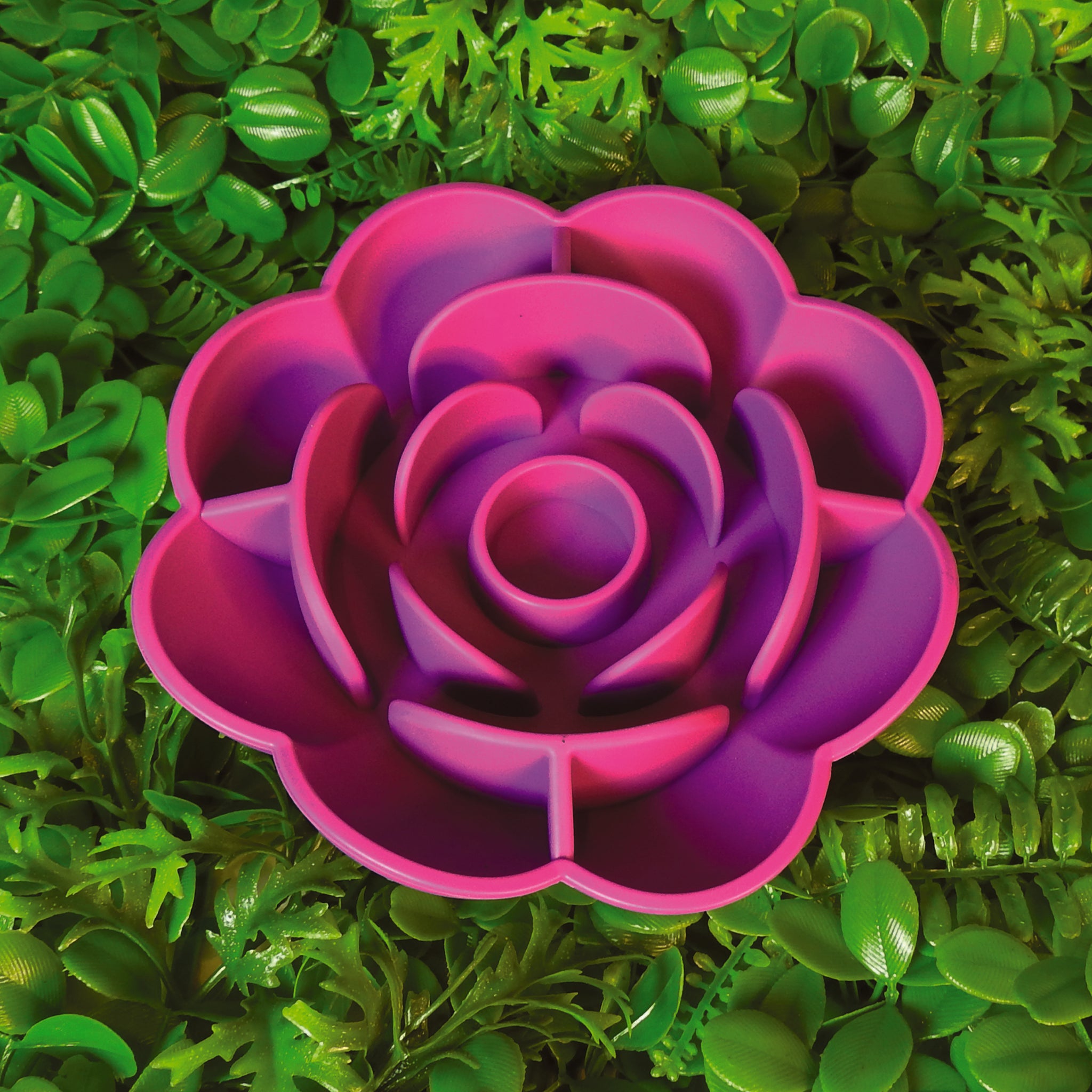 Rose Slow Feeder Bowl-Regal Purple – Lenny's Kitchen